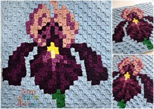 Nature Blanket C2C CAL Crochet Patterns Free - Styles Idea